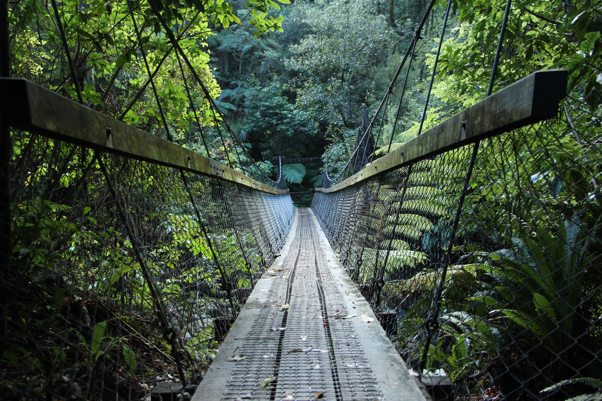 100m long suspension bridge opens on Taranaki Maunga - Wilderness Magazine