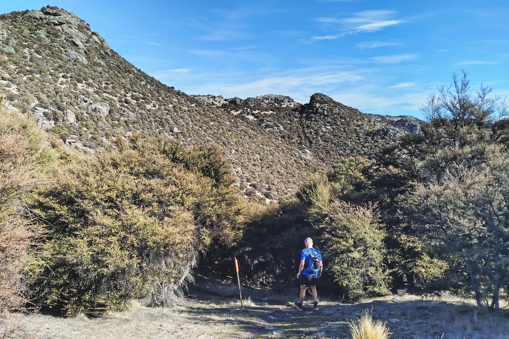 Nydia Track, Marlborough Sounds - Hiking & Tramping in NZ - Wilderness ...
