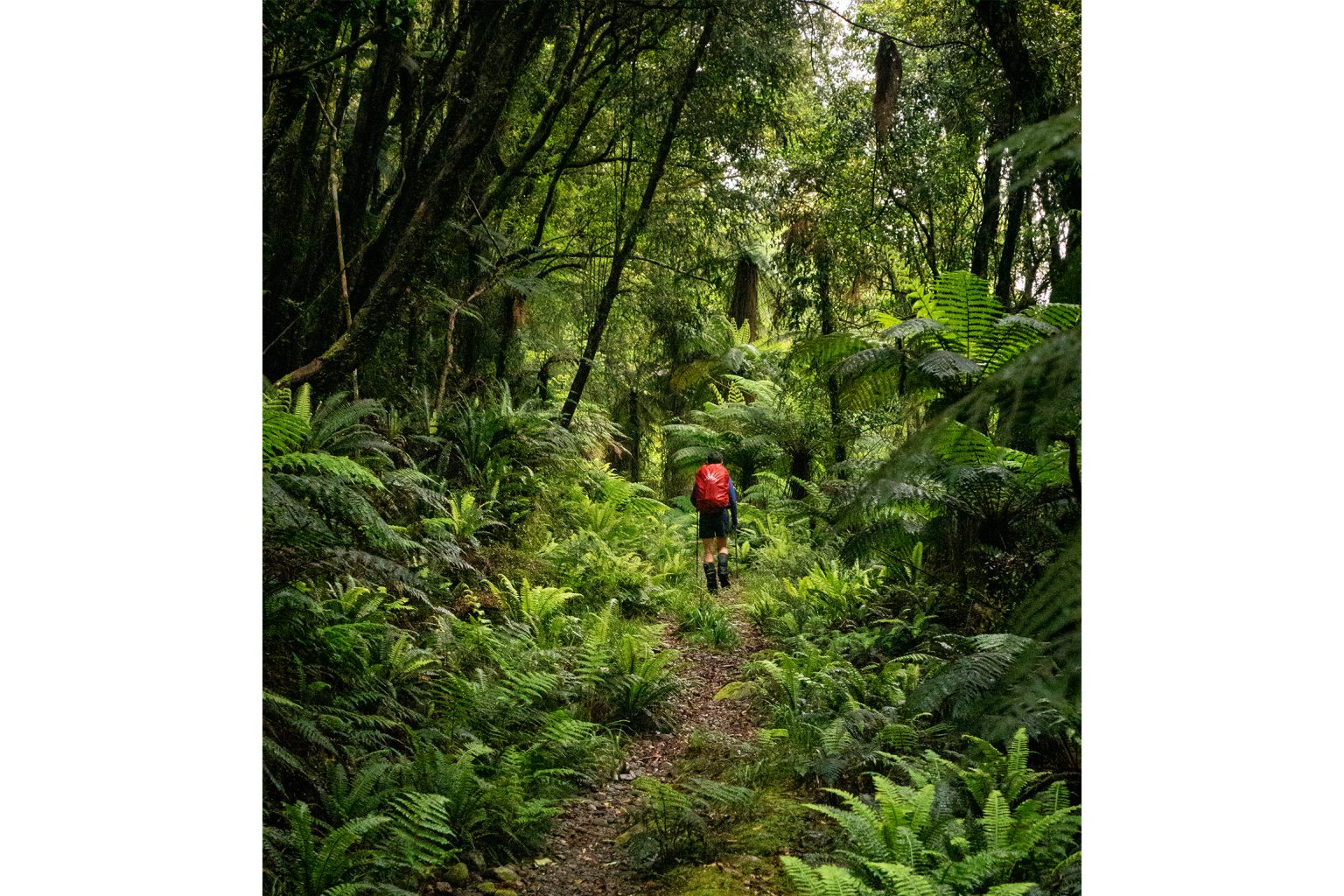 The past beneath our boots - Wilderness Magazine