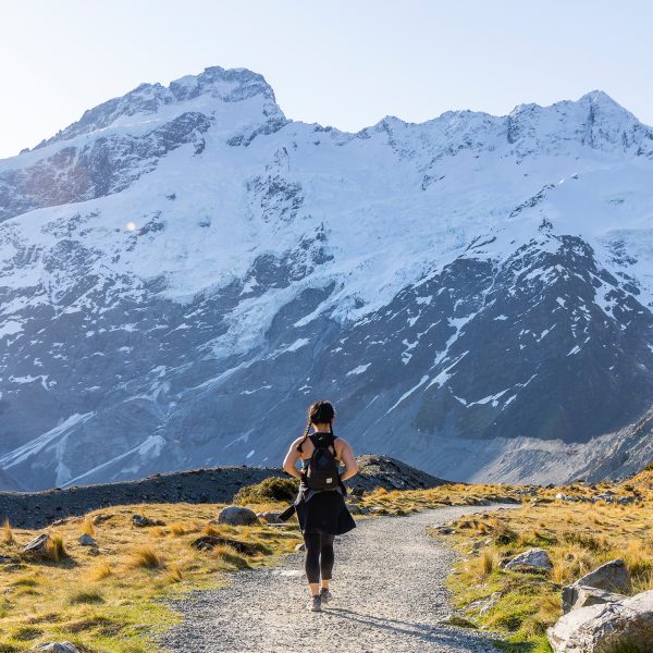 100m long suspension bridge opens on Taranaki Maunga - Wilderness Magazine