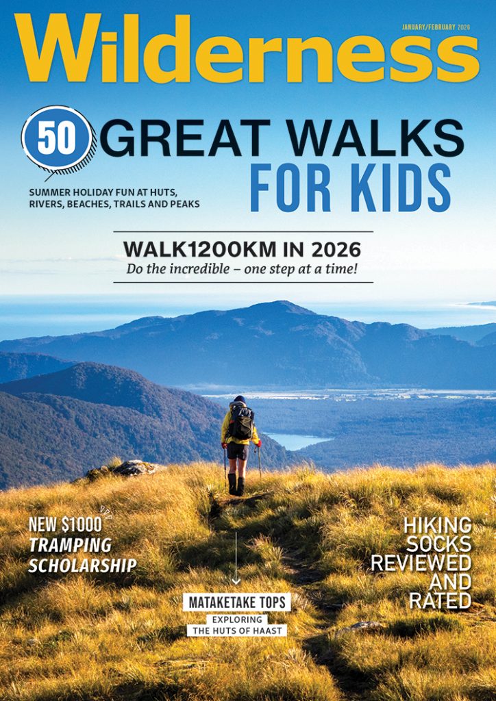 100m long suspension bridge opens on Taranaki Maunga - Wilderness Magazine