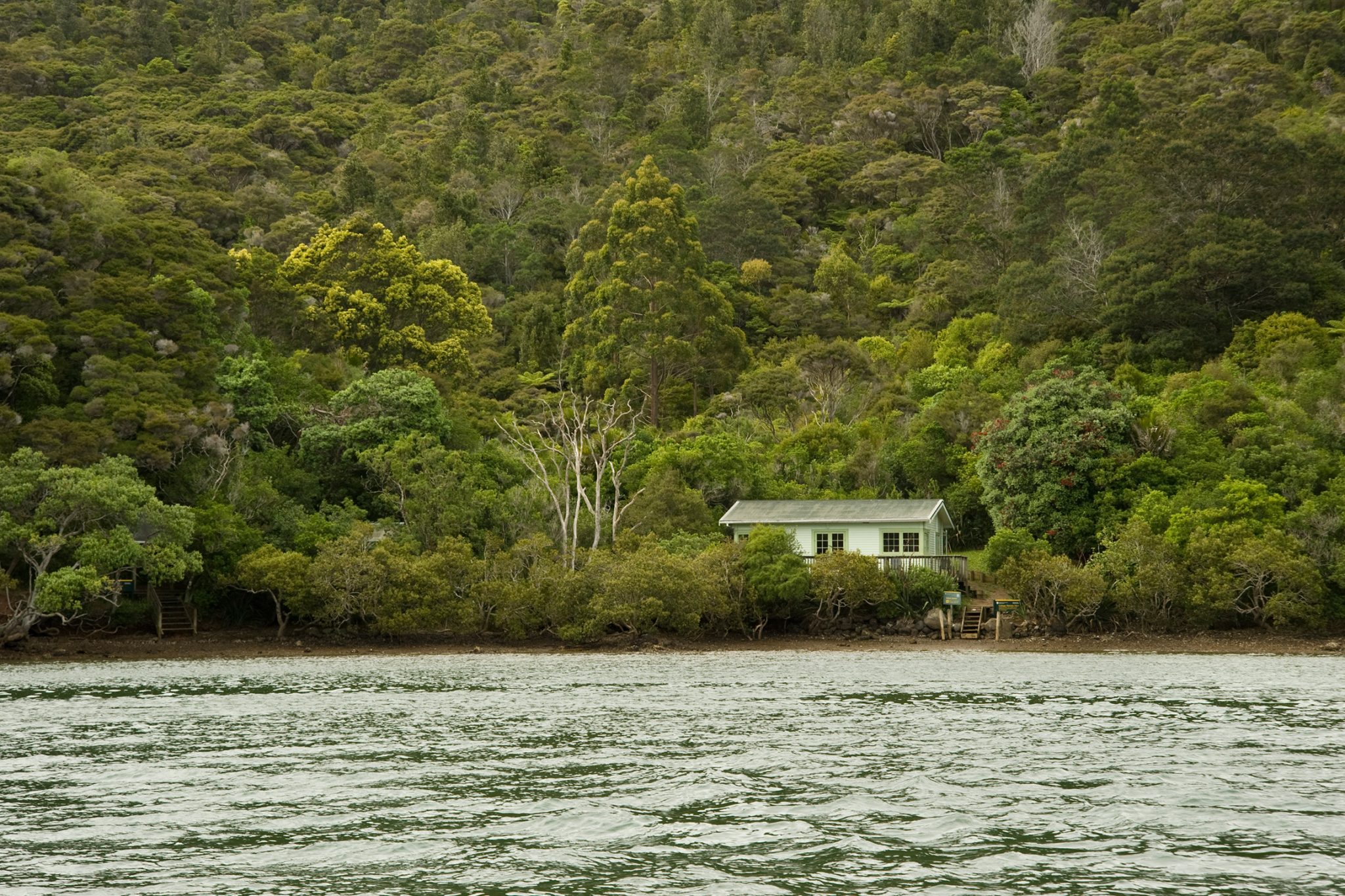 A higher take on Wye Creek - Wilderness Magazine