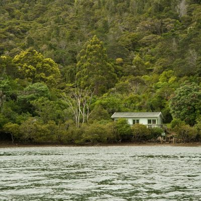 100m long suspension bridge opens on Taranaki Maunga - Wilderness Magazine
