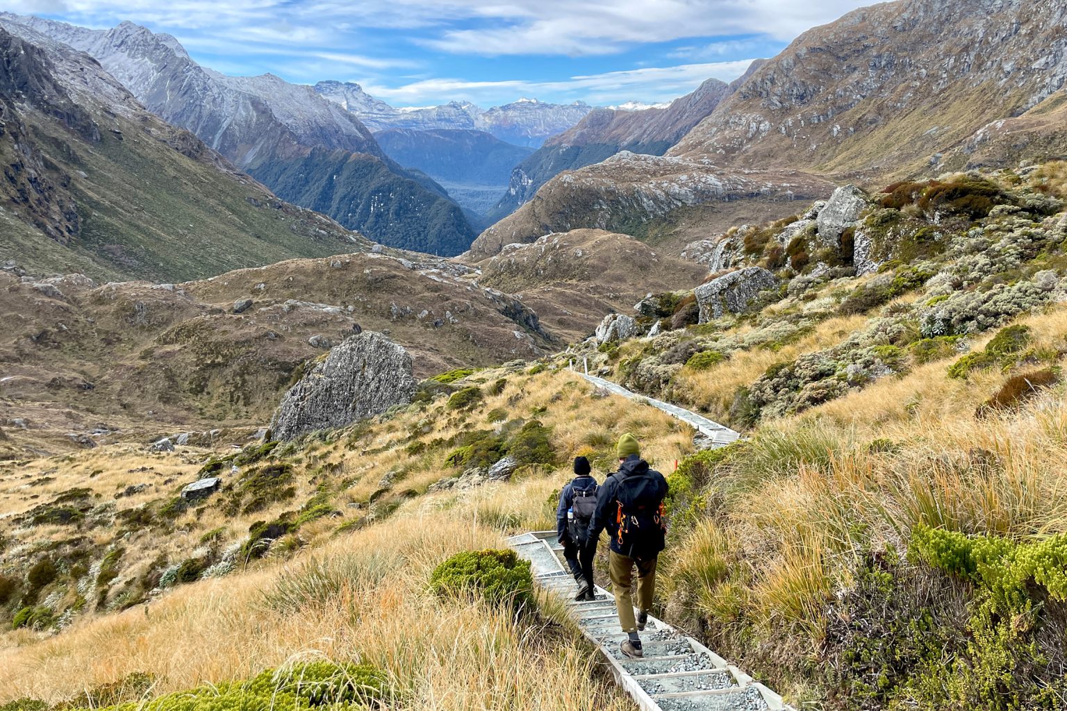 Omanawanui Track, Waitakere Ranges Regional Park - Hiking & Tramping in ...